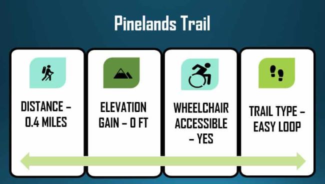 Homestead-Flamingo Everglades Road Trip Guide