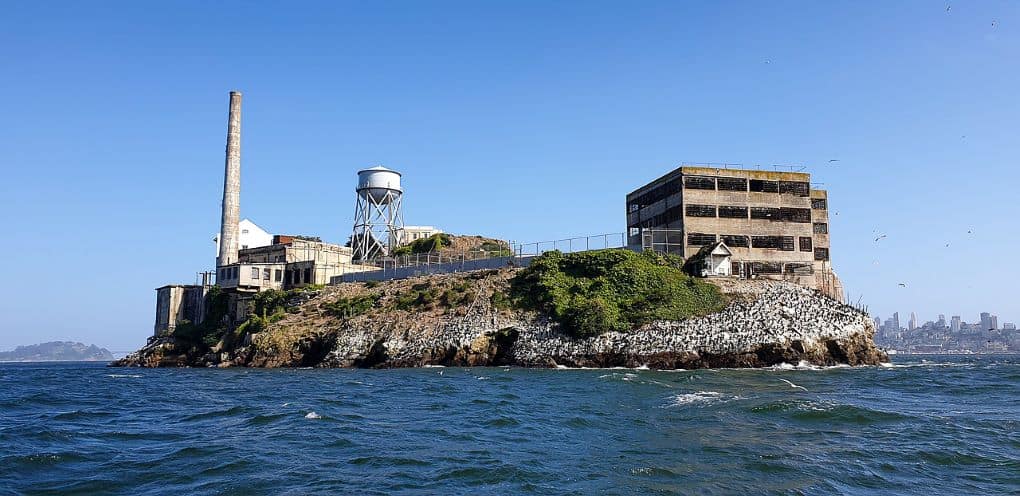 Alcatraz Island The Rock it's for the birds - Travel The Parks